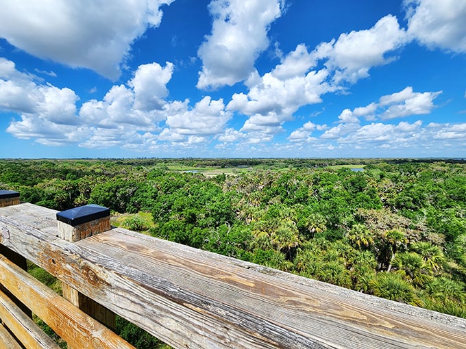From the observation tower, Florida reveals itself as it truly is—an endless carpet of green beneath a sky that goes on forever.