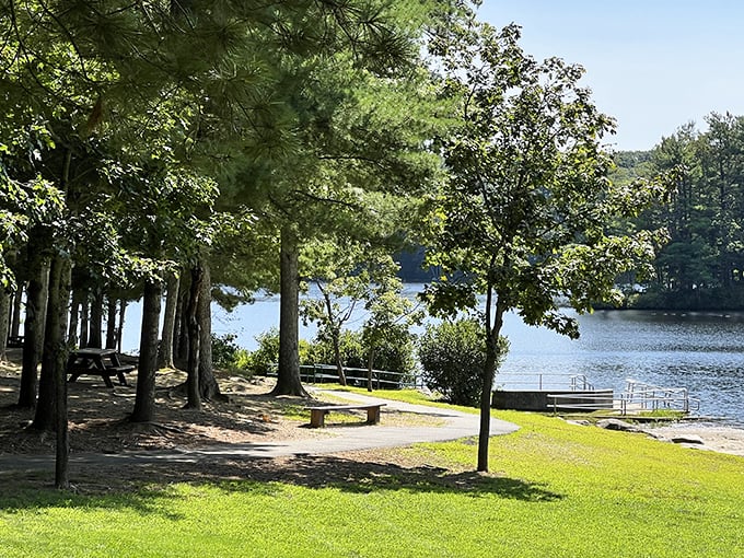 Lakeside serenity in full summer glory. The kind of spot where even your phone seems embarrassed to interrupt with notifications.