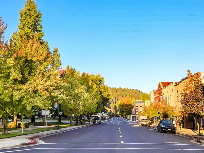 Main Street Quincy doesn't need neon to dazzle—just golden trees, blue skies, and buildings with more character than a Steinbeck novel.