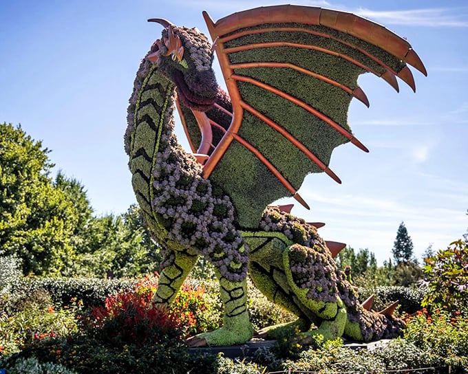The ultimate garden chess match where knights and queens aren't just pieces—they're living sculptures ready to checkmate your expectations of what plants can become.