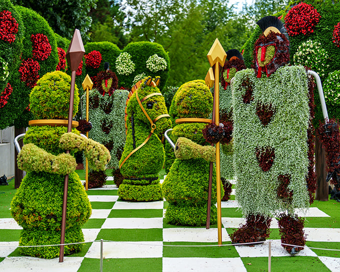 The ultimate garden chess match where knights and queens aren't just pieces—they're living sculptures ready to checkmate your expectations of what plants can become.