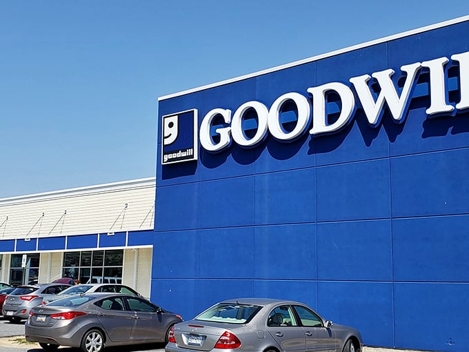 That iconic blue facade isn't just a building – it's a promise that your budget is about to perform miracles.