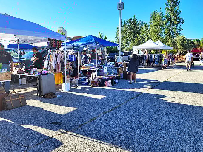 White tents stretch into the distance under perfect California skies, where treasure hunters navigate rows of vintage wonders at Topanga Vintage Market.