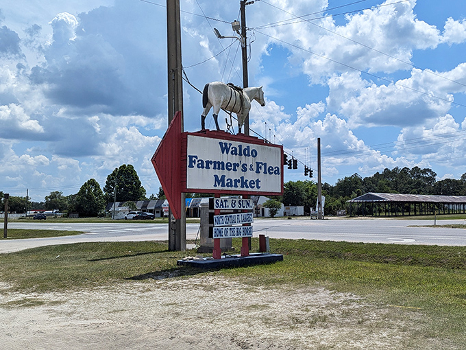 The gateway to treasure-hunting paradise! Waldo’s no-frills flea market sign promises adventures the fanciest malls can’t touch.