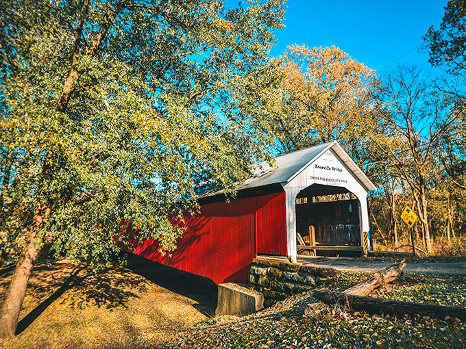 That red paint against autumn gold makes you understand why photographers can't resist covered bridges.