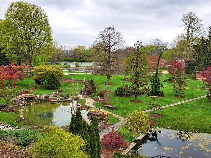 A bird's-eye view of paradise! Schedel's Japanese-inspired water features and meticulously maintained pathways create a living painting that changes with every season.
