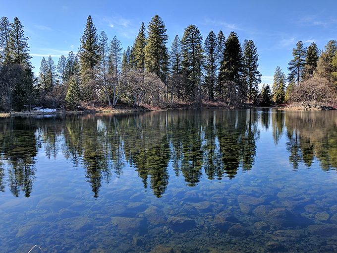 Mirror, mirror on the water – pine trees create perfect reflections in the crystal-clear springs that give this hidden California gem its name.