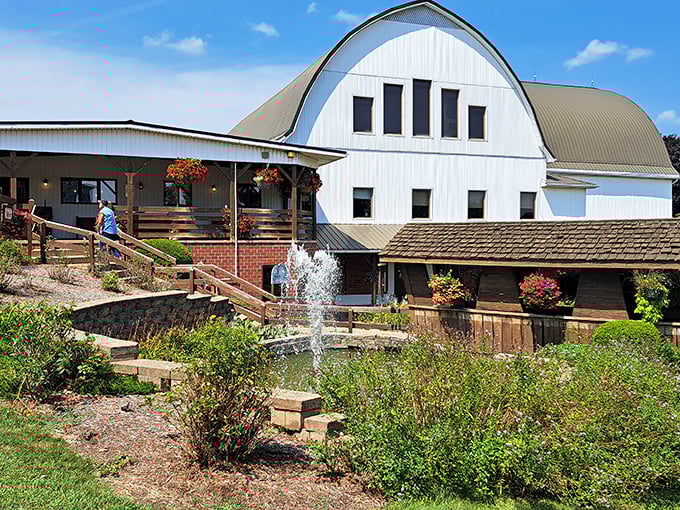 That white barn facade isn't fooling anyone—inside awaits some of the finest beef you'll find in Ohio's countryside.
