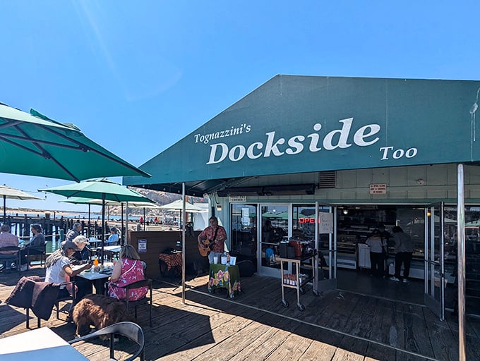A slice of seafood paradise on Morro Bay's waterfront, where live music and ocean breezes create the perfect backdrop for your chowder-fueled happiness.