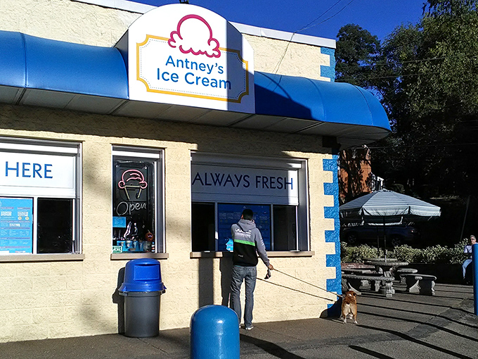 The sunshine-yellow facade of Antney's isn't just cheerful—it's a beacon of hope for ice cream lovers seeking authenticity in a world of frozen mediocrity.