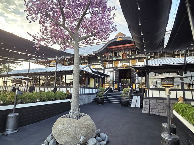 The grand approach to this mountain palace makes every visit feel like you're entering an elaborate movie set—except the food's better.