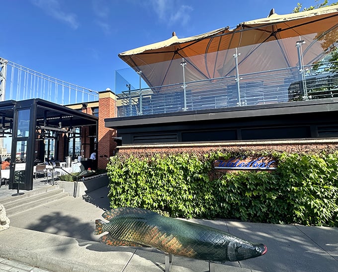 Waterbar's exterior is architectural poetry – where modern design meets maritime charm, complete with that whimsical fish sculpture standing guard like an aquatic bouncer.