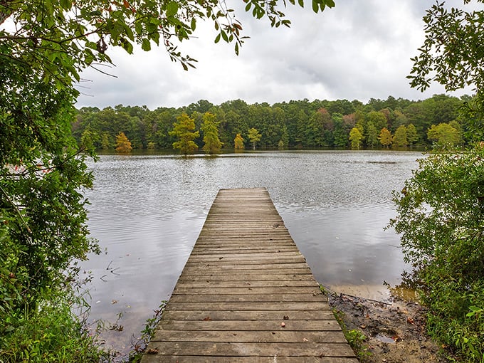 Where land meets water—a simple wooden dock stretches into the tranquil pond, promising quiet moments of reflection among autumn-kissed trees.
