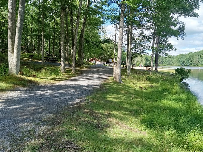 A serene pathway hugs the shoreline, where towering trees stand guard over Poe Valley Lake. Nature's version of the perfect commute.