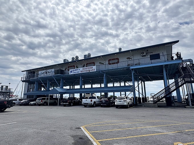 The Gulf Coast's answer to a treehouse restaurant, McElroy's Harbor House rises majestically above Biloxi's Back Bay, promising seafood with a view.
