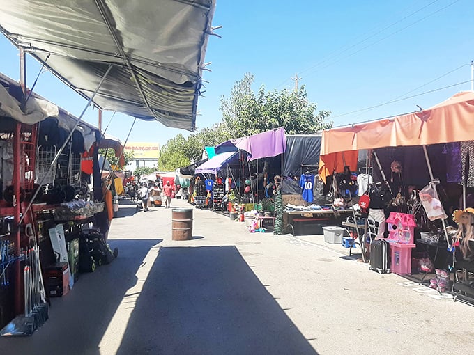 Treasure hunters navigate the colorful alleyways of Broadacres, where every stall promises the thrill of discovery and every turn might reveal your next favorite find.