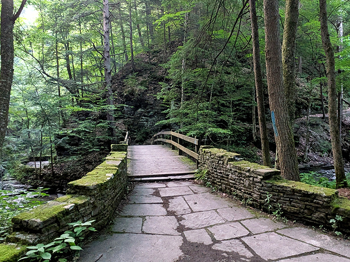 The gorge trail at Fillmore Glen reveals nature's architecture – layered shale walls rising like ancient skyscrapers while a gentle stream carves its patient path below.