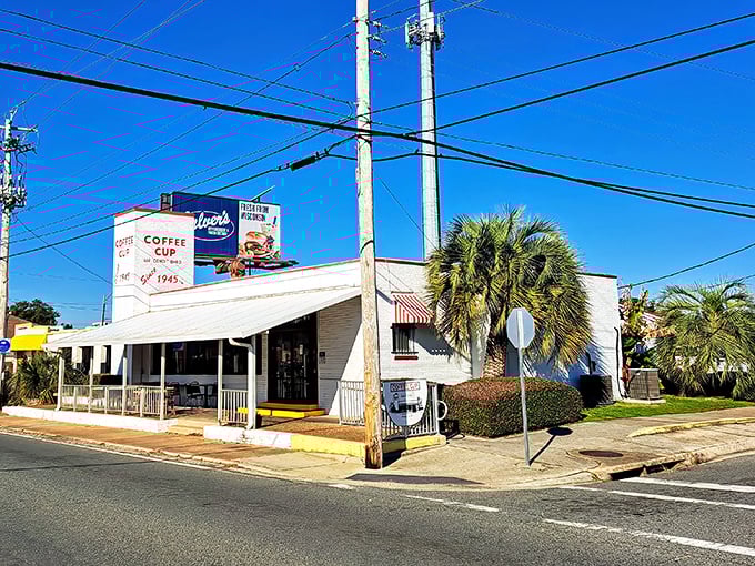 The unassuming white exterior of Coffee Cup Restaurant stands as a beacon of breakfast hope on a Pensacola street corner, palm trees keeping watch nearby.