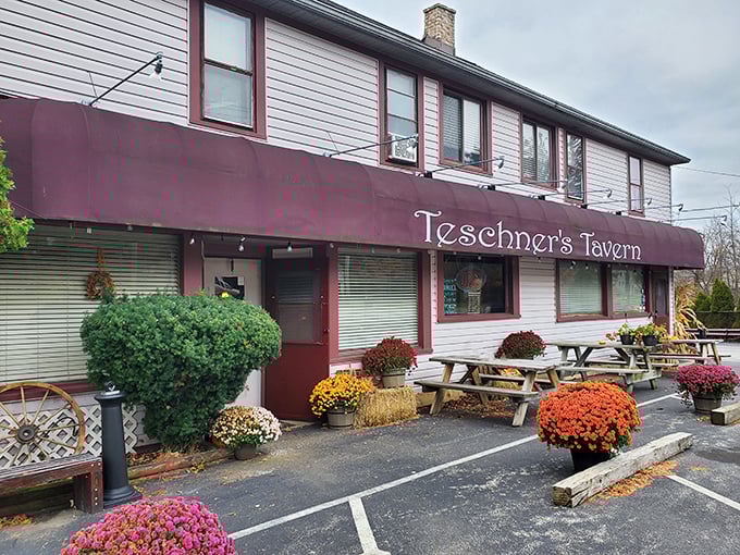 The unassuming exterior of Teschner's Tavern proves once again that culinary treasures often hide behind modest facades. Those picnic tables have witnessed countless Ohio celebrations.