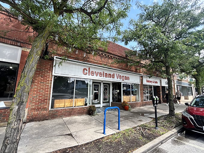 Nestled among Lakewood's brick buildings, Cleveland Vegan's unassuming exterior hides a culinary revolution happening just beyond those doors.