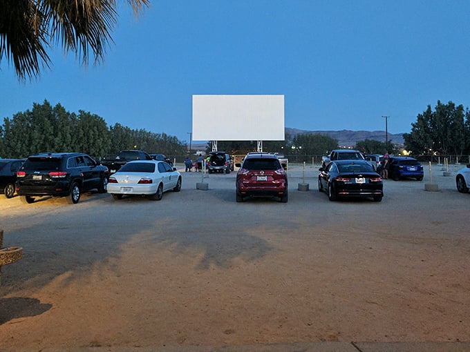Cars lined up under the desert twilight, facing the blank canvas that will soon transport viewers to another world.
