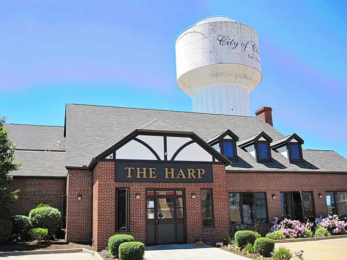 The Harp stands proudly against the Cleveland skyline, its Tudor-style charm promising Irish hospitality beneath that iconic water tower.