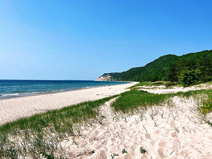 The perfect Michigan postcard come to life – pristine sand meets the endless blue of Lake Michigan, with forested dunes standing guard.