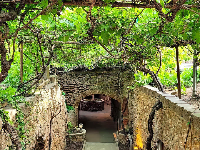 Grapevines creating a natural canopy over hand-carved stone pathways—like an Italian dream that went delightfully underground.