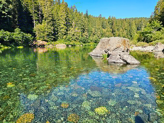 The Smith River's crystal-clear waters invite you to dip your toes while ancient sentinels stand guard. Nature's version of a five-star resort.