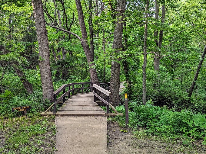 Nature's welcome mat: This charming wooden bridge beckons hikers into a verdant cathedral of trees where adventure awaits around every bend.