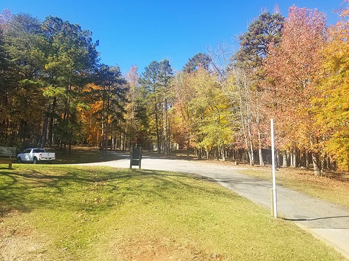 Fall's grand performance at Croft State Park—nature's own Broadway show where every leaf gets a standing ovation and the parking is considerably easier.