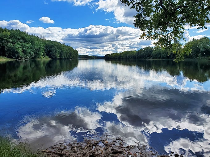 Mirror, mirror on the water – the Susquehanna River creates perfect reflections that make you wonder which way is up. Nature's own Instagram filter.