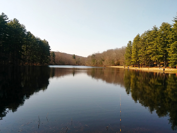Mirror, mirror on the pond—Chatfield Hollow's glassy waters reflect towering pines like nature's own Instagram filter. Connecticut serenity at its finest.