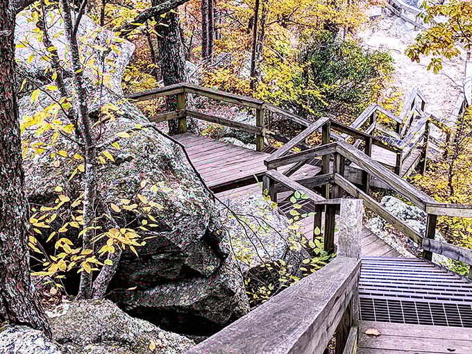 Rustic wooden walkways wind through autumn-painted forests, where every step feels like walking through nature's own art gallery.