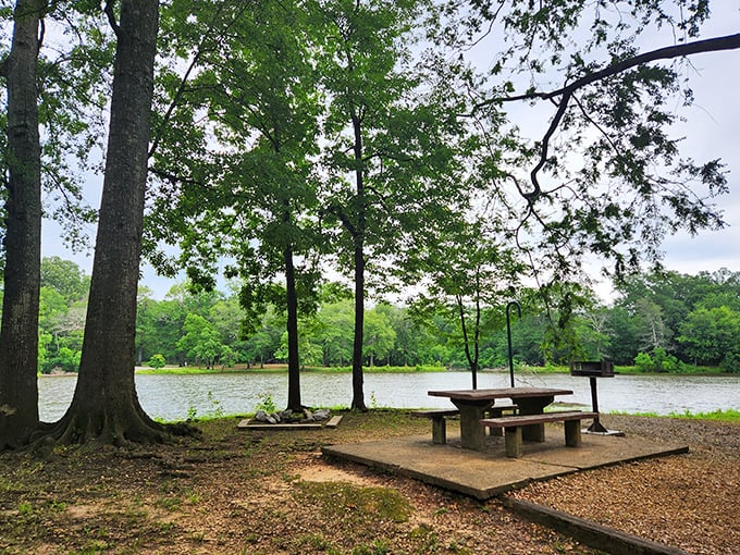 Nature's dining room awaits with this lakeside picnic spot, where the only reservation needed is the one you make with yourself to slow down.
