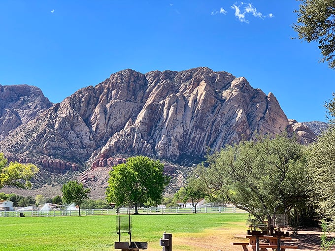 The entrance road to paradise comes with white picket fences and mountain backdrops that make your phone's wallpaper jealous.