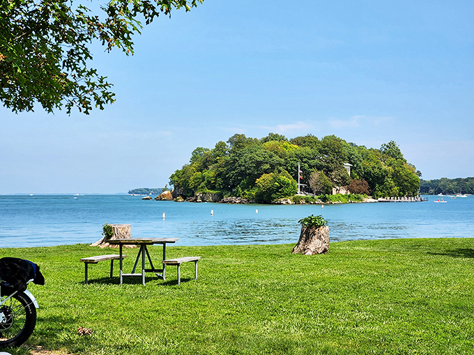 Mother Nature showing off her landscaping skills—a lone picnic table with million-dollar views that no restaurant reservation could ever match.