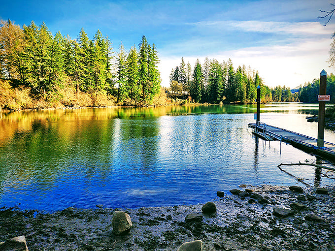 Mirror, mirror on the water—who's the fairest state park of all? Golden hour at McIver turns the ordinary into the extraordinary.