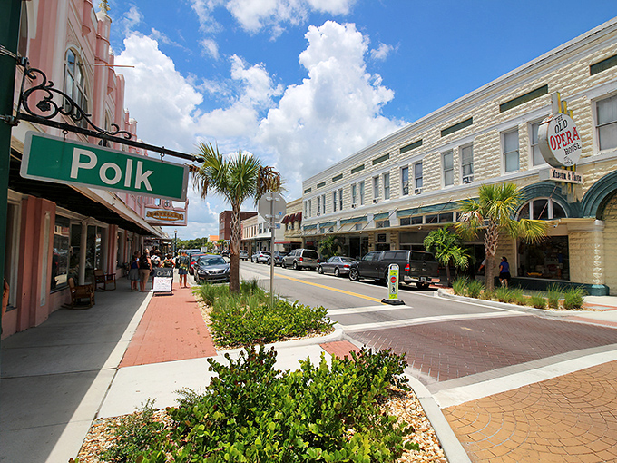 Downtown Arcadia's historic streets offer that perfect blend of Old Florida charm and small-town affordability. Those palm trees aren't just for tourists!