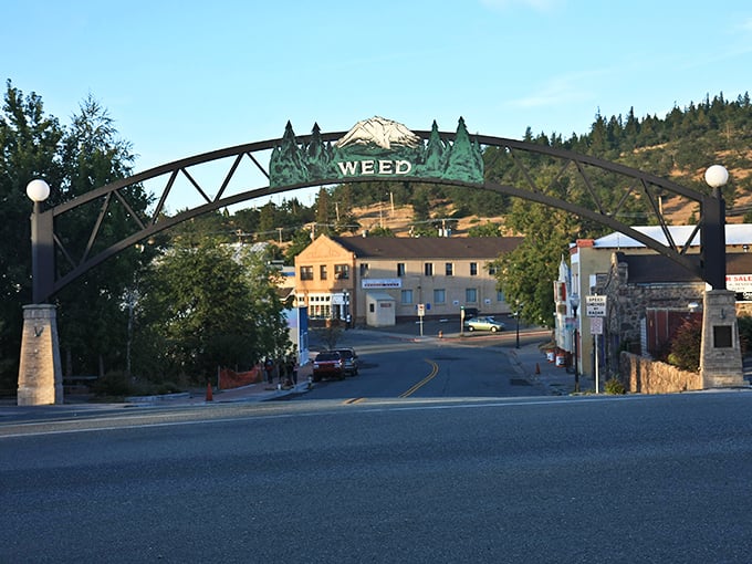 The iconic Weed arch greets visitors with charm, while Mount Shasta rises in the distance, hinting at adventures within reach.
