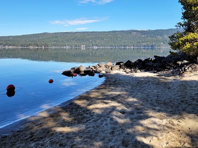 Beach day, Idaho style. No crowds, no noise—just you, some smooth stones, and water so clear you can count fish instead of sheep.
