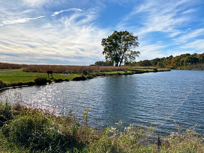 Where water meets wilderness: Prophetstown's serene shoreline offers a front-row seat to nature's daily performance, no ticket required.