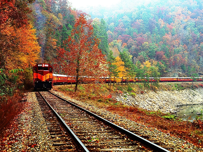 Fall's golden touch transforms this journey into a moving painting. The vintage locomotive glides alongside tranquil waters, mountains standing sentinel in the distance.