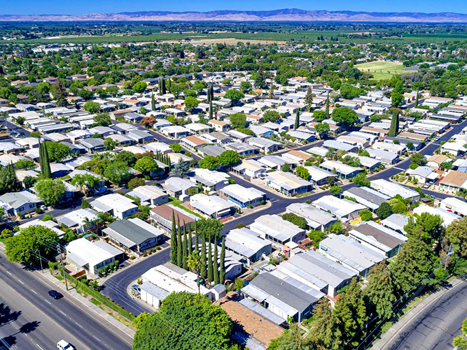 From above, Gustine reveals itself as a perfect grid of modest homes and tree-lined streets—California living without the traffic-induced therapy bills.