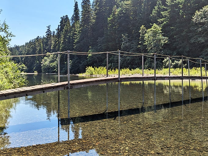 Nature's perfect picnic spot awaits. This serene meadow offers front-row seats to California's most impressive forest performance, no ticket required.