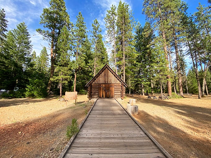 A rustic log cabin welcomes visitors like an old friend, standing sentinel among towering pines. Nature's reception desk awaits your arrival.