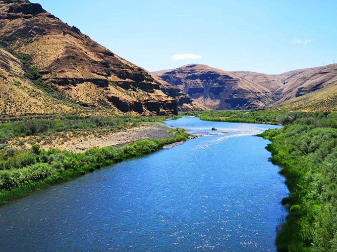The John Day River carves its masterpiece through golden hills, creating a ribbon of blue life in Oregon's high desert landscape.