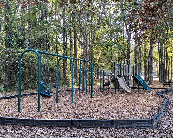 Nature's playground awaits the young and young-at-heart. These swings and slides might be the only screen time your kids need after all.