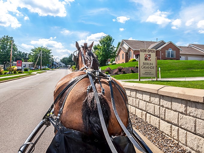 Where horsepower takes on its original meaning! A classic Amish buggy navigates Berlin's streets, a daily reminder of the area's living heritage.