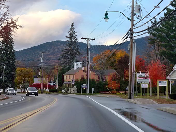 Fall in Conway paints the town in colors so vibrant, you'll swear Mother Nature hired a Hollywood set designer. Those mountains aren't just scenery—they're characters.